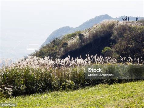 아소 화산 칼데라의 북쪽 가장자리에서 경치 좋은 전망대 아소 쿠주 국립 공원 구마모토 현 일본 Satoyama Scenery