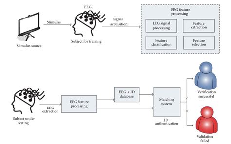 9 Eeg Biometric System [5] Download Scientific Diagram