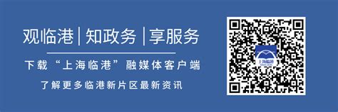 选择临港，就是选择未来！听企业家们畅谈临港新片区人工智能产业发展