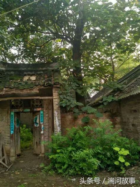 詩歌回故園 每日頭條