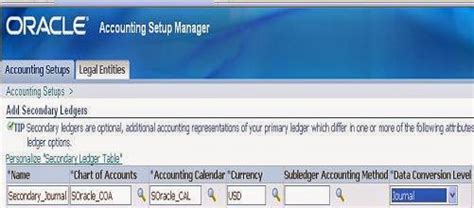Oracle Applications Oracle Secondary Ledger Accounting Setups And Usage