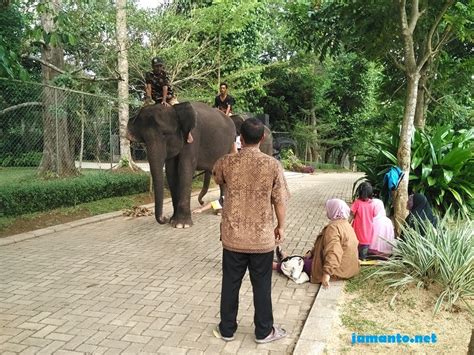 Harga Tiket Masuk Lembah Hijau Lampung Lokasi Fasilitas Rute