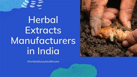 Herbal Extracts Manufacturers Herbal Extracts And Healthcare Products