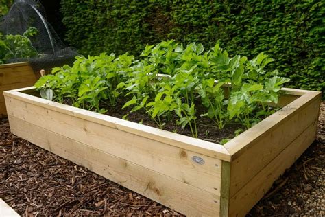 Wooden Raised Garden Bed Kits Maxim Outdoor Lighting