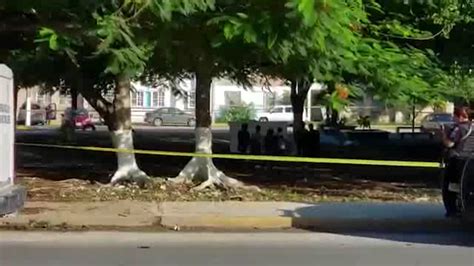 Terror En El Paraíso Encontraron Una Cabeza Humana En Un Parque De