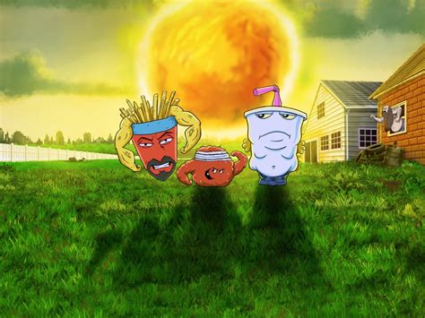 Aqua Teen Hunger Force Subtitles For Episodes From Season 1 Ydcisn