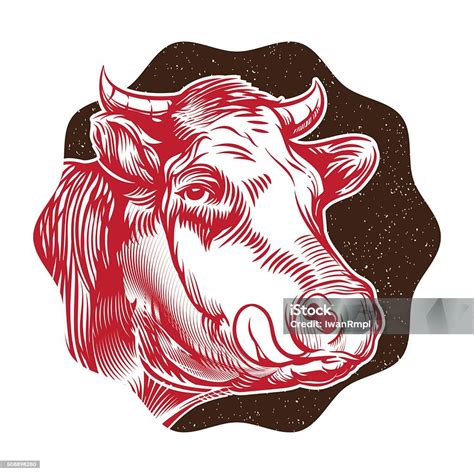 Ilustrasi Moncong Sapi Vintage Ilustrasi Stok Unduh Gambar Sekarang