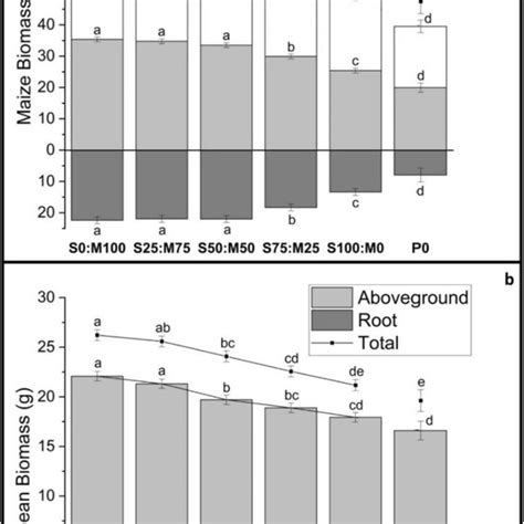 Total Aboveground And Belowground Biomass Of A V12 Maize And B R1