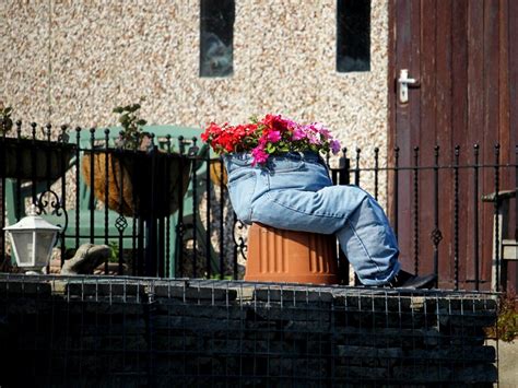 Jeans Garden Free Photos On