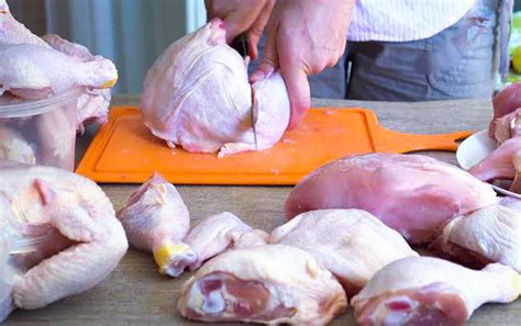 Avoid Bacterial Food Poisoning