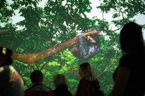Sentir Mundo Uma Jornada Imersiva é A Nova Exposição Do Museu Do