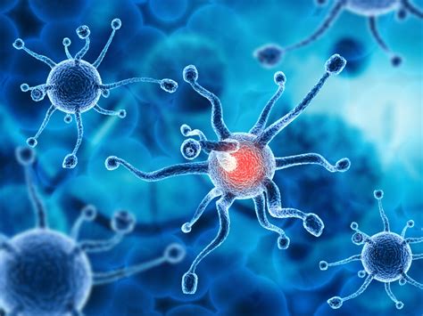 섭취 전 반드시 알아야하는 소론도정 부작용 효능 스테로이드 여드름 건강한 생활 인사이트