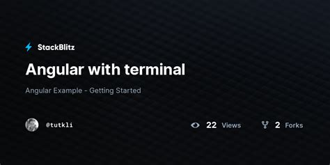 Angular With Terminal Stackblitz
