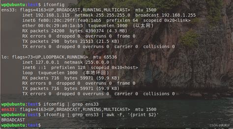 Linux入门开发linux开发入门 Csdn博客