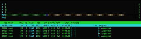 Go Why In Linux Golang Run Service Will Automatically Create