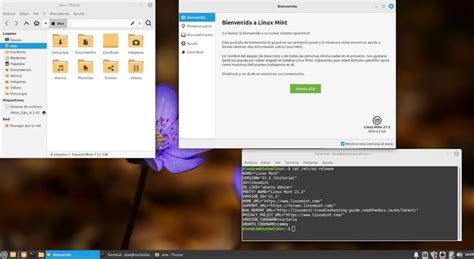 Linux Mint 212 Victoria Final Release