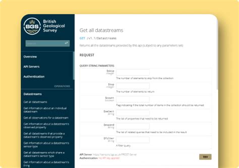 BGS Sensor Data Service