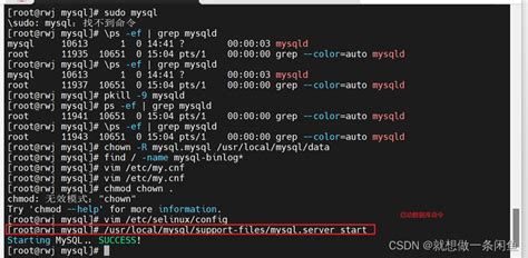 Vscode调试mysql5737教程mysql 源码调试 Vscode Csdn博客