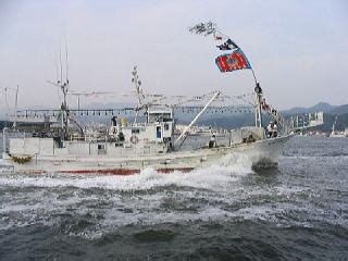 マカジキ
