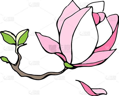 木兰花。手绘插图。向量的剪纸艺术