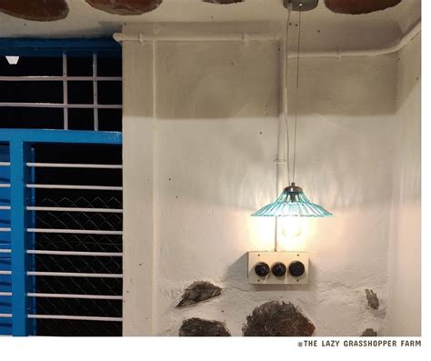 The Lazy Grasshopper Farm The Lazy Grasshopper Farm