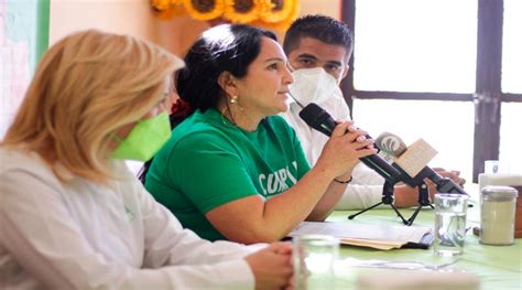 Denuncian Violencia Política Y Hostigamiento Laboral Contra Candidata