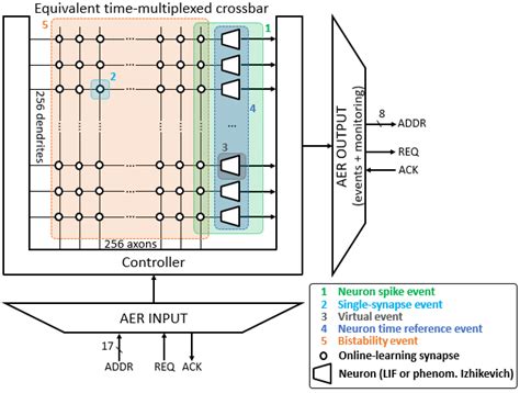 优秀的 Verilog Fpga开源项目介绍（二十四） 脉冲神经网络 Snn 极术社区 连接开发者与智能计算生态