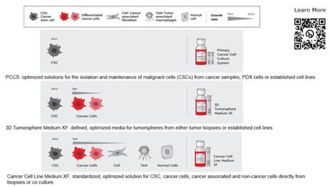 Sunil Badal Phd On Linkedin Cancer Research And Drug Development