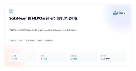 scikit learn 的 mlpclassifier：探索随机学习策略 labex