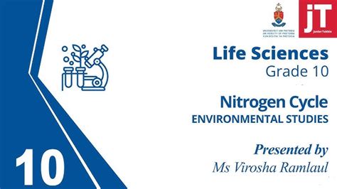 Nitrogen Cycle Grade 10