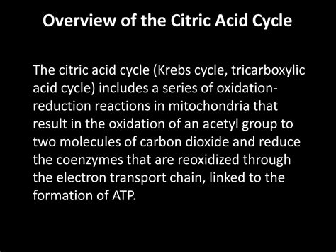 Solution Tca Cycle And Its Regulation Studypool