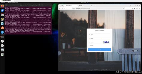 若依ruoyi vue3虚拟机前后端分离部署到nginx 若依 vue3 打包部署 csdn博客