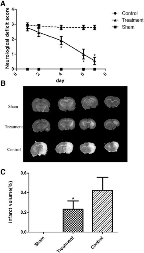A Neurological Deficit Score Measurement Results From Different Download Scientific Diagram