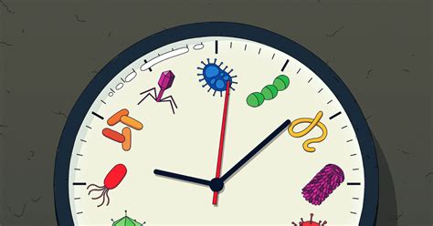 Opinion We May Have Only A Few Months To Prevent The Next Pandemic