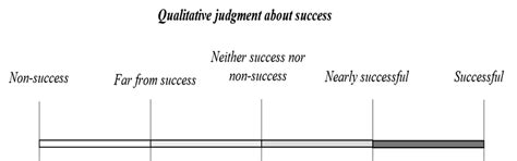 qualitative judgment scale of success and non success source authors