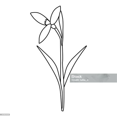 헌병 봄 꽃 열린 새싹 낙서 스타일 평면 벡터 개요 색칠하기 책에 대 한 제기 0명에 대한 스톡 벡터 아트 및 기타 이미지 0명 3월 4월 Istock