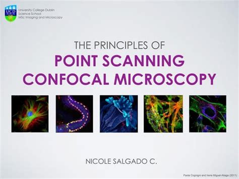 Imaging With Microscopy Pdf