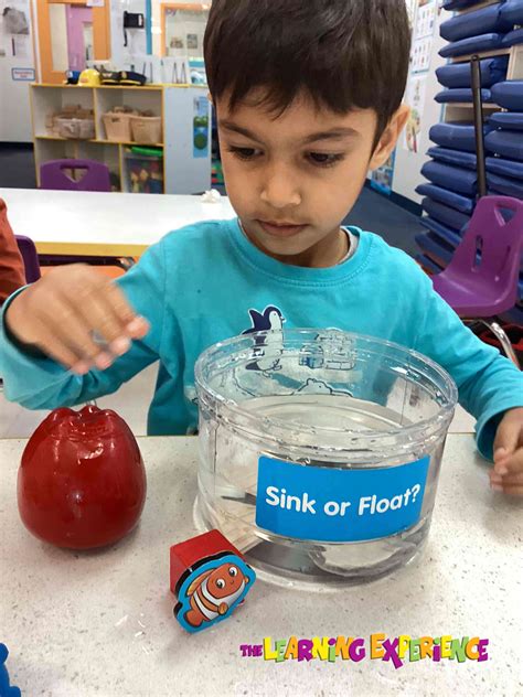 Apex The Learning Experience