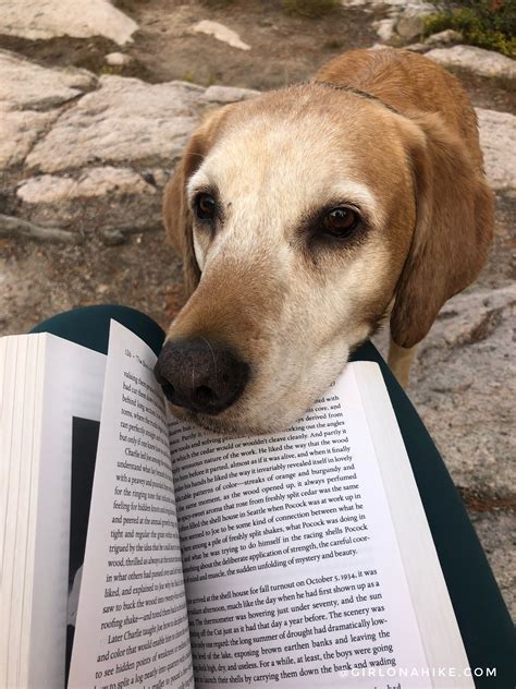 Backpacking The Alice Toxaway Loop And More Girl On A Hike