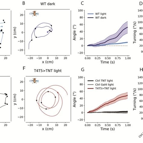 Compensation Of Aerodynamic Asymmetry Download Scientific Diagram
