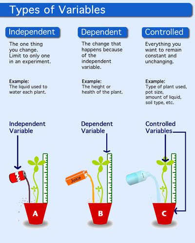 Dependent And Independent Variables Practice Flashcards Quizlet