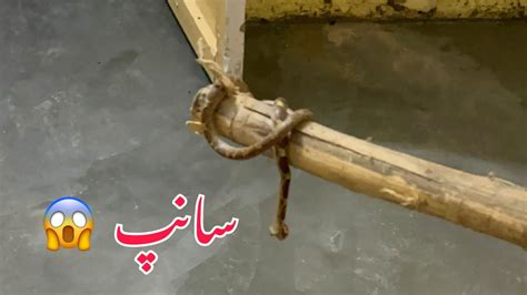 Aj To Marte Marte Bacha 😱 Youtube