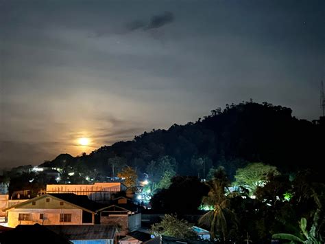 Pls Dont Dox Me R Infp