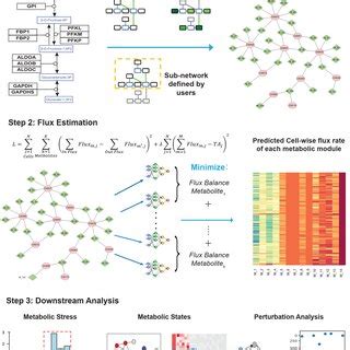 Pdf Scfea A Graph Neural Network Model To Estimate Cell Wise