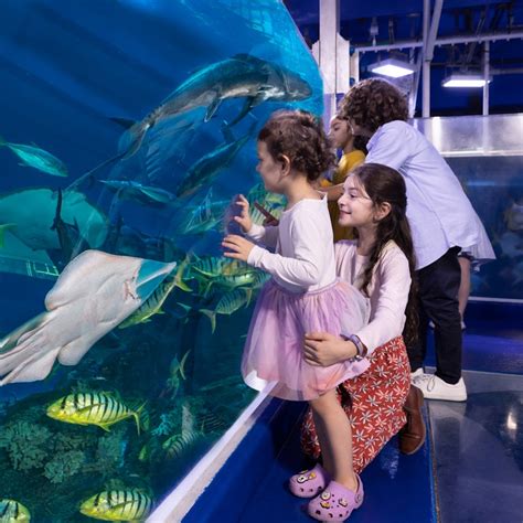Aquarium And Underwater Zoo Ray Encounter Tiqets