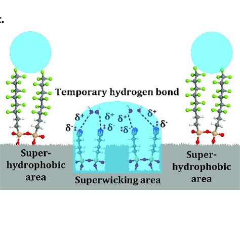 Surface Topography Of The Patterned Superwicking Superhydrophobic Download Scientific Diagram