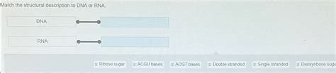 Solved Match The Structural Description To Dna Or Rna