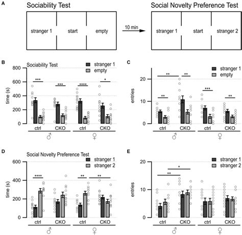 Loss Of Gaba Co Transmission From Ach Neurons Results In Loss Of Social