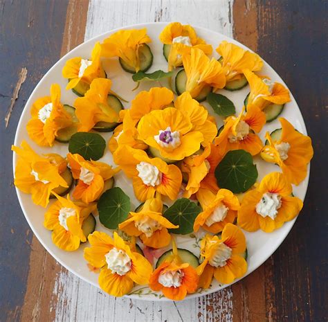 Edible Flowers Northey Street City Farm