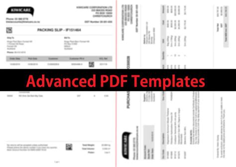 Create Netsuite Advanced Pdf Templates By Antonypetras Fiverr